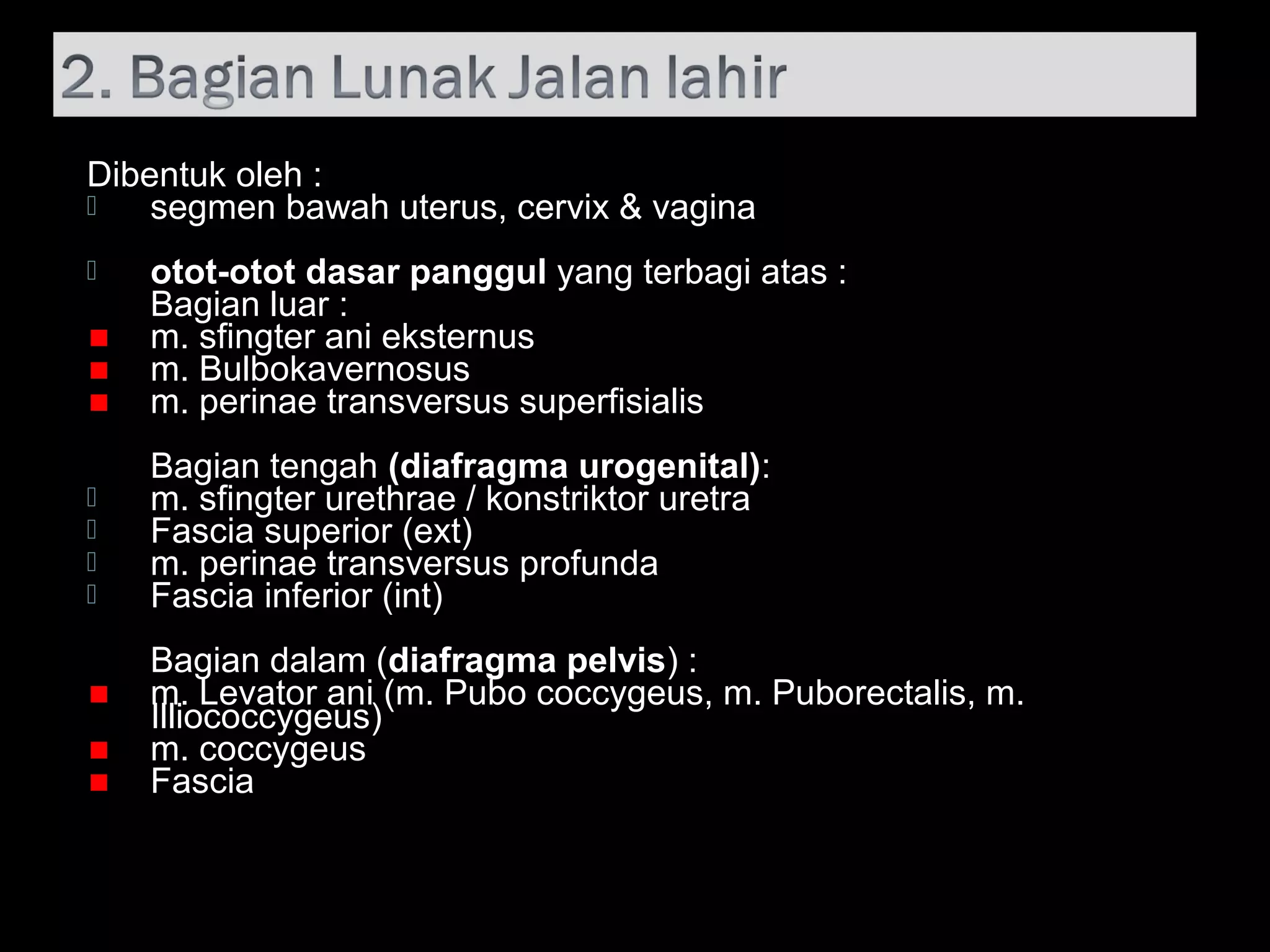 Mekanisme Persalinan Normal | PPTX