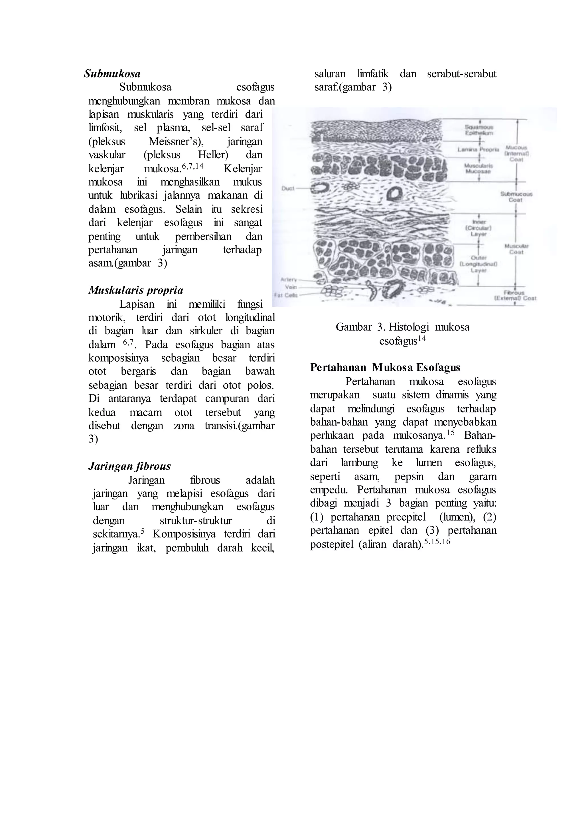 Mekanisme pertahanan mukosa esofagus jurnal tht kl | DOCX