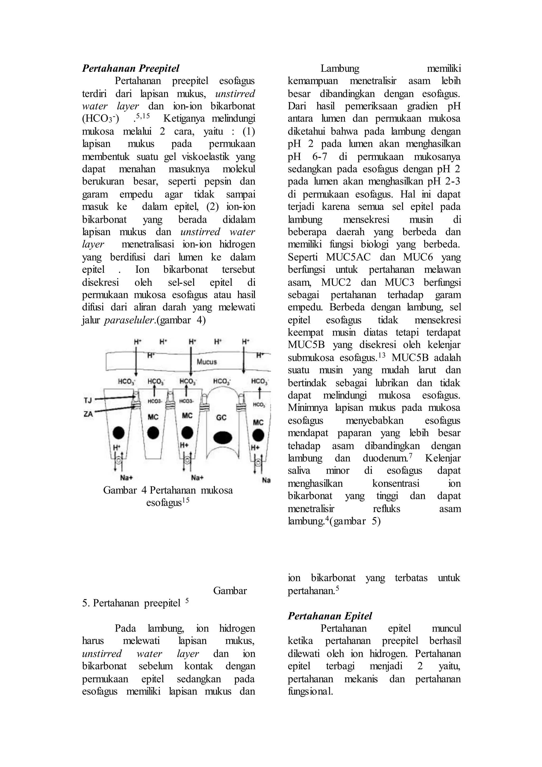 Mekanisme pertahanan mukosa esofagus jurnal tht kl | DOCX