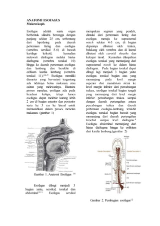 Mekanisme pertahanan mukosa esofagus jurnal tht kl | DOCX