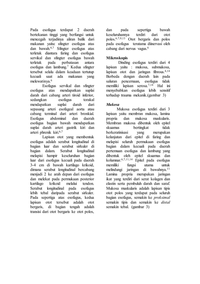 Mekanisme pertahanan mukosa esofagus jurnal tht kl | PDF