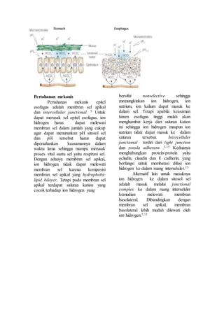 Mekanisme pertahanan mukosa esofagus jurnal tht kl | DOCX