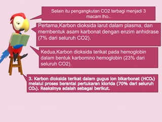 Mekanisme pertukaran O2 dan CO2 | PPTX