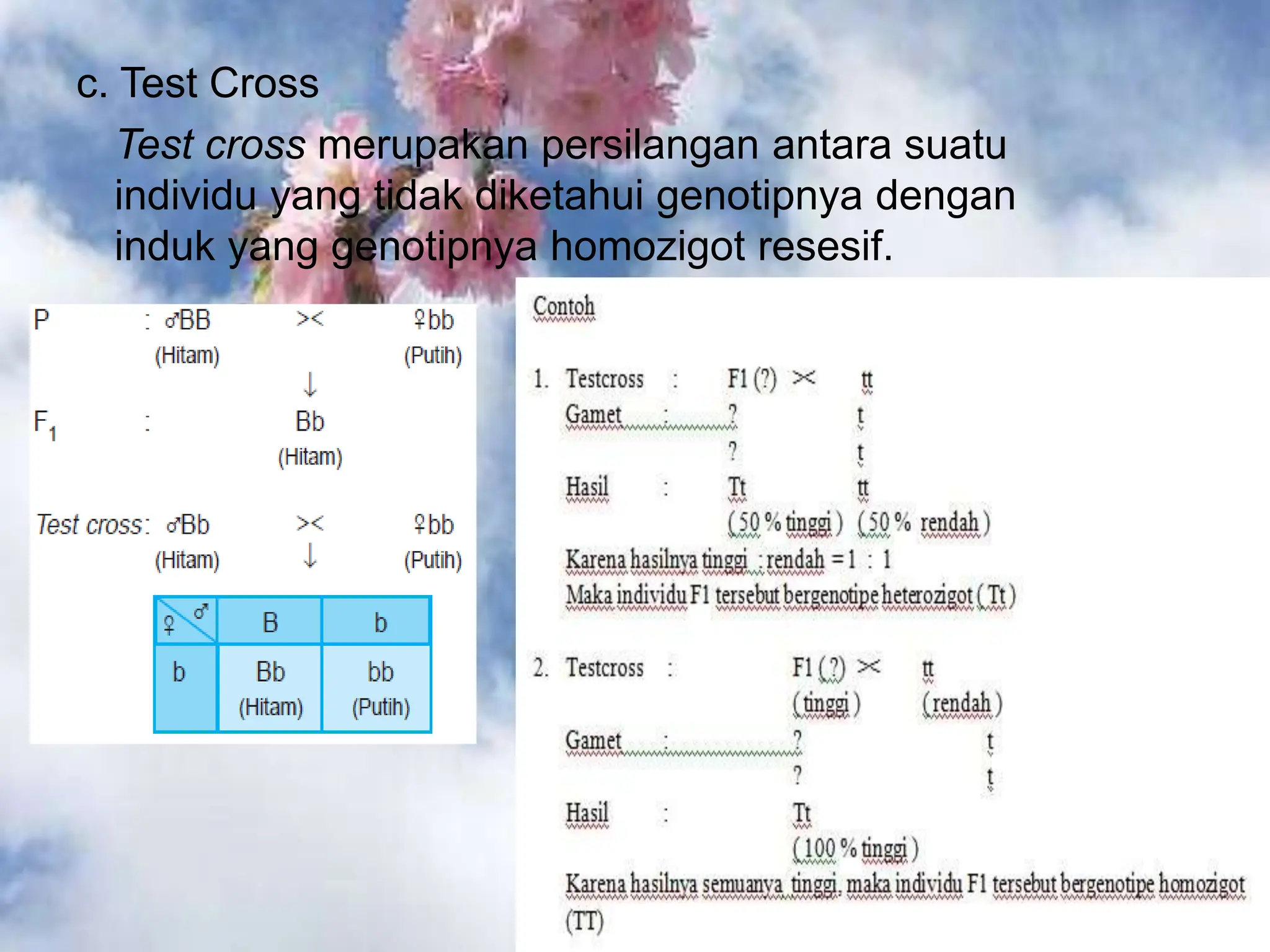 MEKANISME_PEWARISAN_SIFAT.pptx
