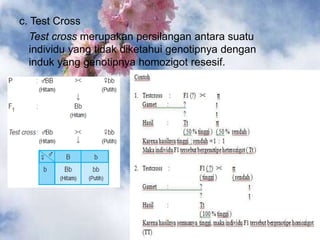 MEKANISME_PEWARISAN_SIFAT.pptx