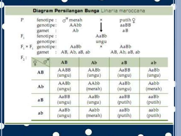 MEKANISME_PEWARISAN_SIFAT.pptx