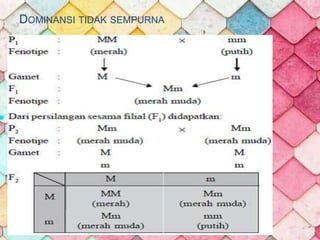 MEKANISME_PEWARISAN_SIFAT.pptx