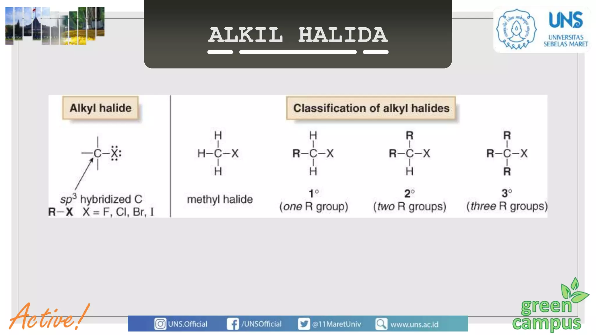 Mekanisme Reaksi dalam kimia organik.pptx
