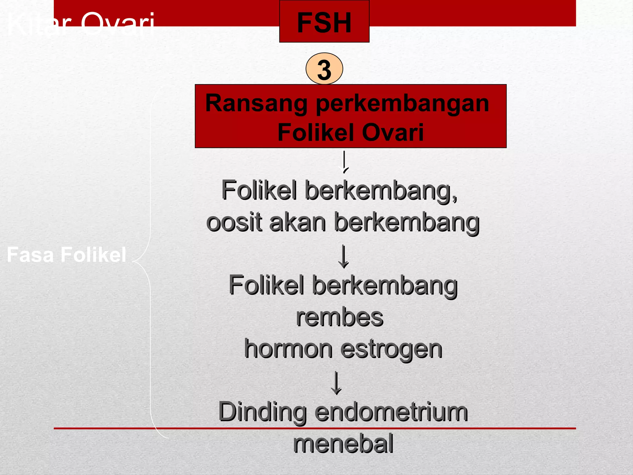 Mekanisme regulasi hormon | PPT