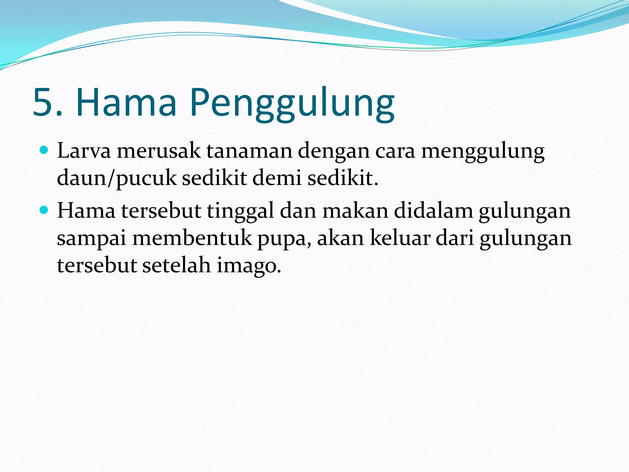 Mekanisme serangan & gejala serangan hama pada tanaman | PPTX