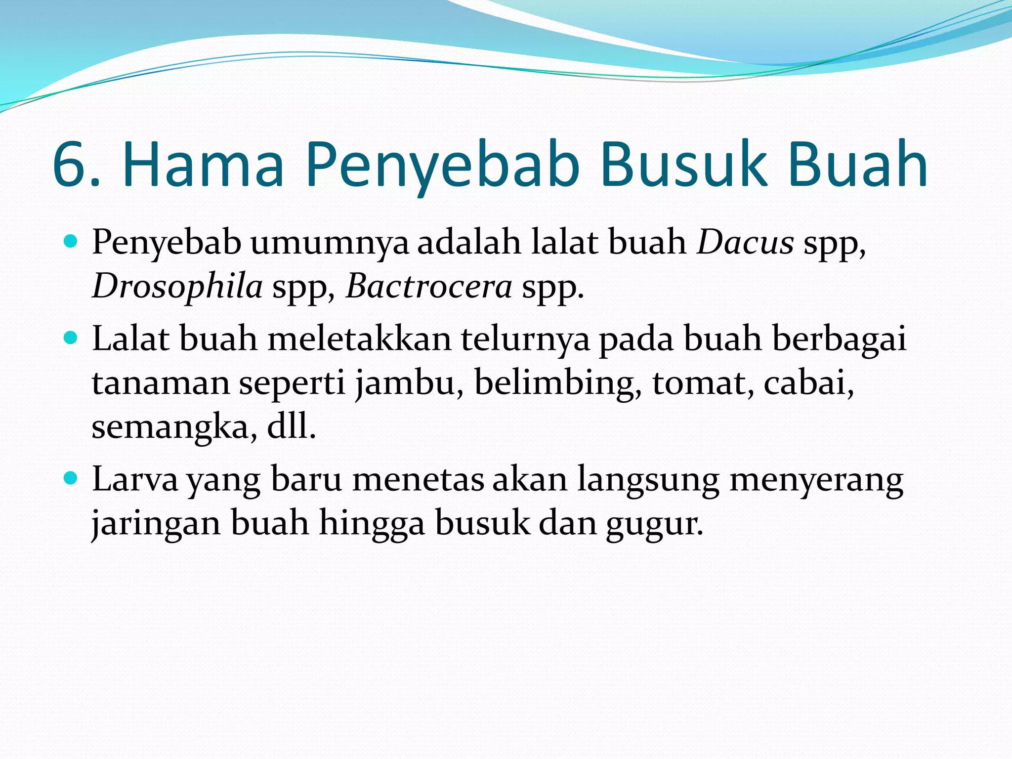 Mekanisme serangan & gejala serangan hama pada tanaman | PPTX