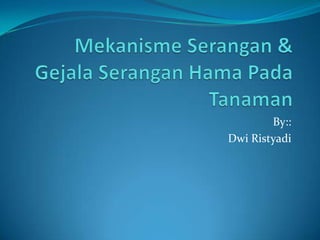 Mekanisme serangan & gejala serangan hama pada tanaman | PPTX