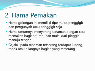 Mekanisme serangan & gejala serangan hama pada tanaman | PPTX