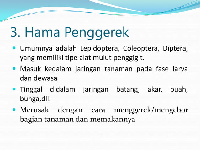Mekanisme serangan & gejala serangan hama pada tanaman | PPTX