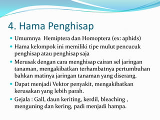 Mekanisme serangan & gejala serangan hama pada tanaman | PPTX