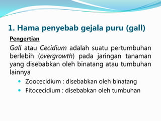 Mekanisme serangan & gejala serangan hama pada tanaman | PPTX