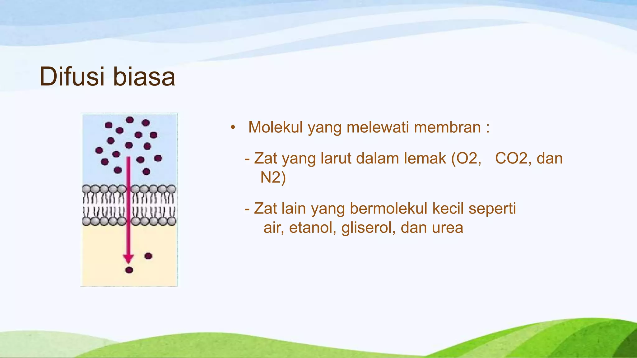 Mekanisme transpor membran | PPTX