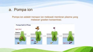 Mekanisme transpor membran | PPTX