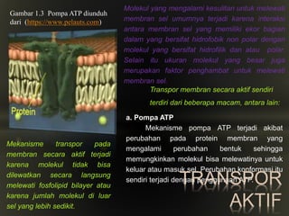 Mekanisme transpor membran plasma | PPT