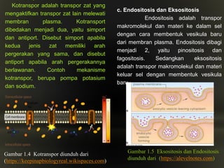 Mekanisme transpor membran plasma | PPTX