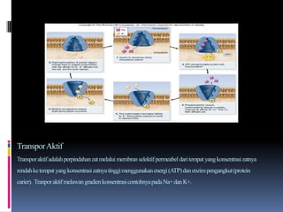 Mekanisme transport pada membran | PPTX