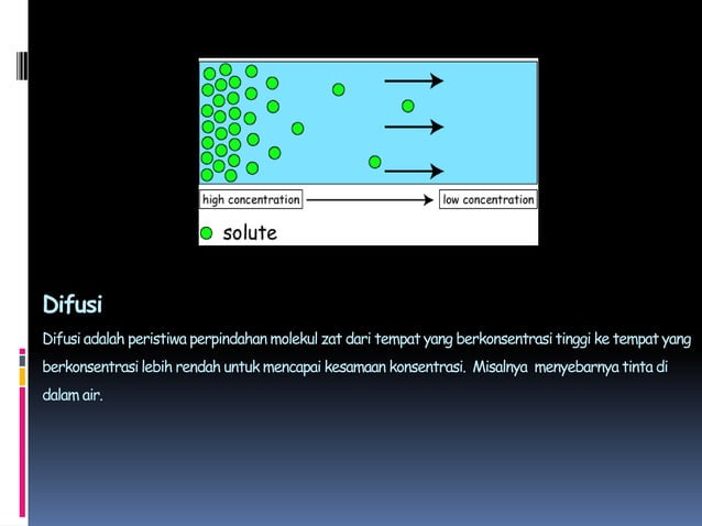 Mekanisme transport pada membran | PPTX