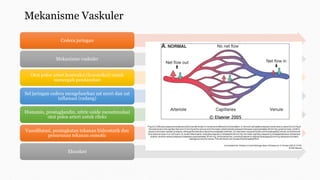 mekanisme vaskuler pada inflamasi.pptx