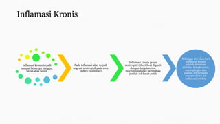 mekanisme vaskuler pada inflamasi.pptx