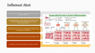 mekanisme vaskuler pada inflamasi.pptx