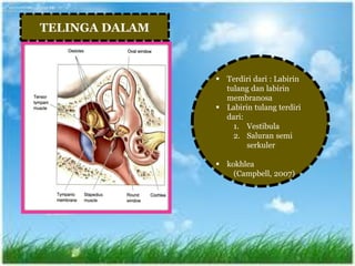 MEKANORESEPTOR pada terlinga (1).pdf
