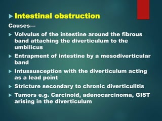 Mekelsdiverticulum. | PPT