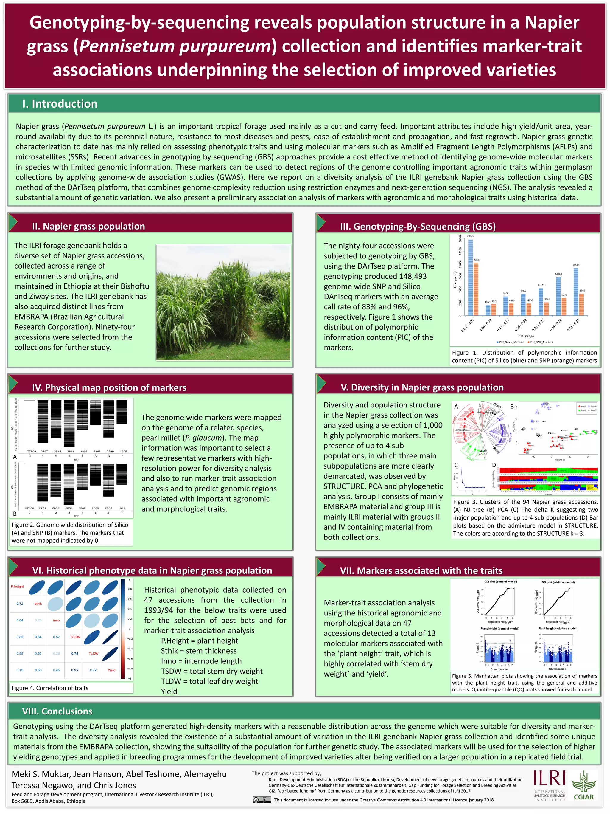 Genotyping-by-sequencing reveals population structure in a Napier grass (Pennisetum purpureum ...