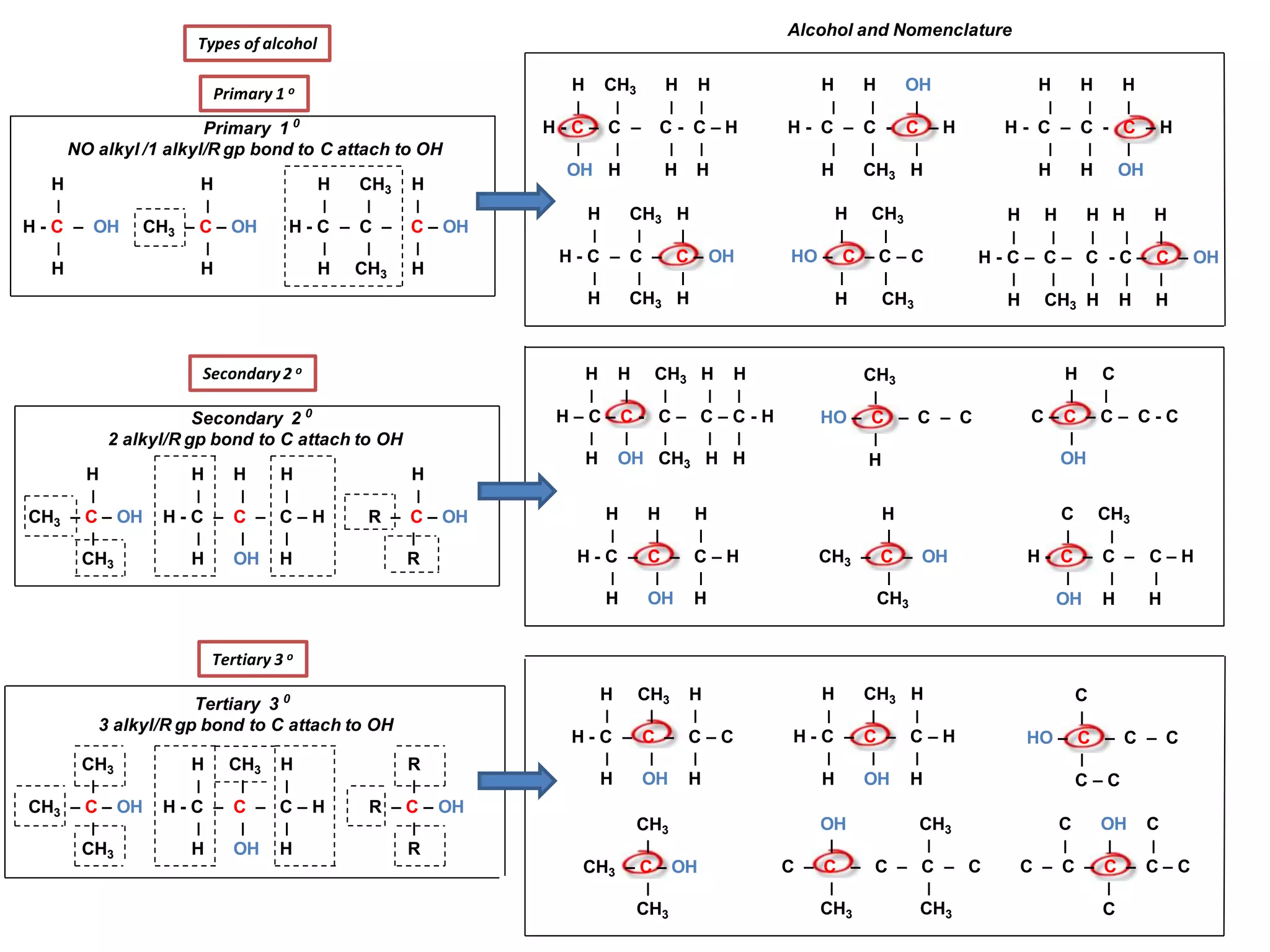 IB Chemistry on Structural Isomers and Benzene Structure | PDF