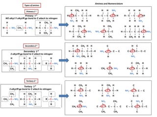 C4h9br Lewis Structure Isomers