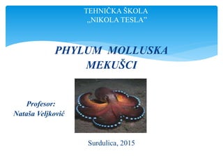 Mekusci | PPTX