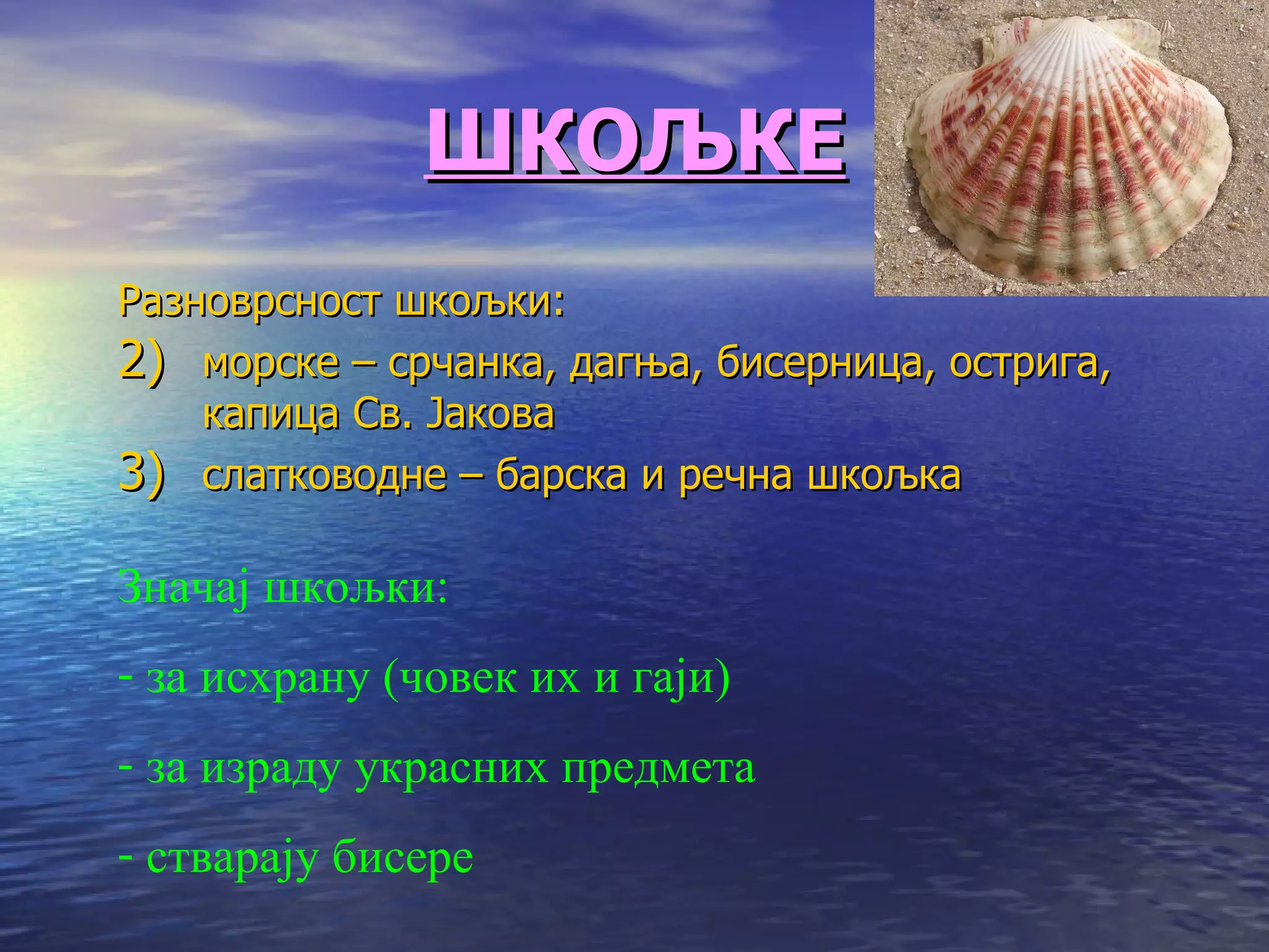 Mekusci - 6. razred | PPT