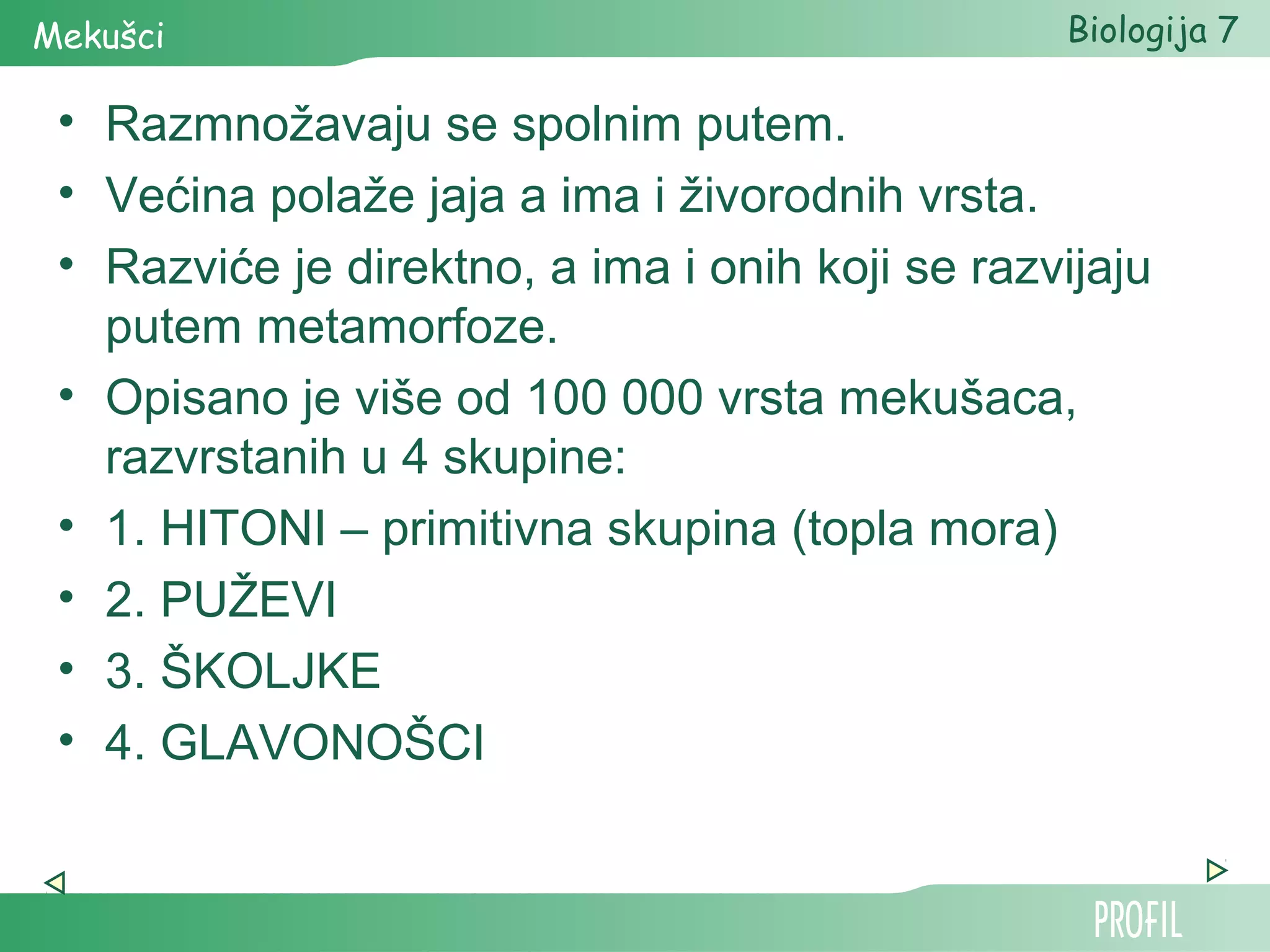 Mekusci ppt | PPT