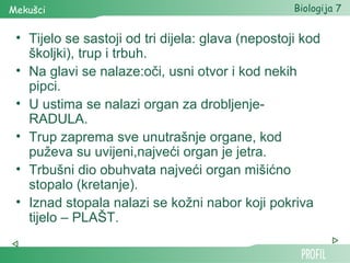 Mekusci ppt | PPT