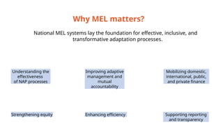 Monitoring, evaluation, and learning systems in NAP processes | PPTX