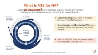 Monitoring, evaluation, and learning systems in NAP processes | PPTX