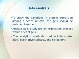 Melanie - 2D gel analysis software | PDF