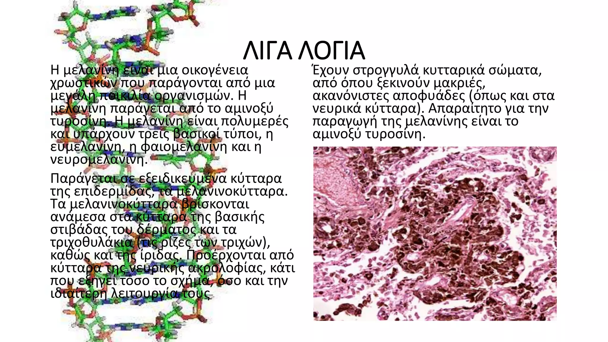 Μελανίνη | PPTX