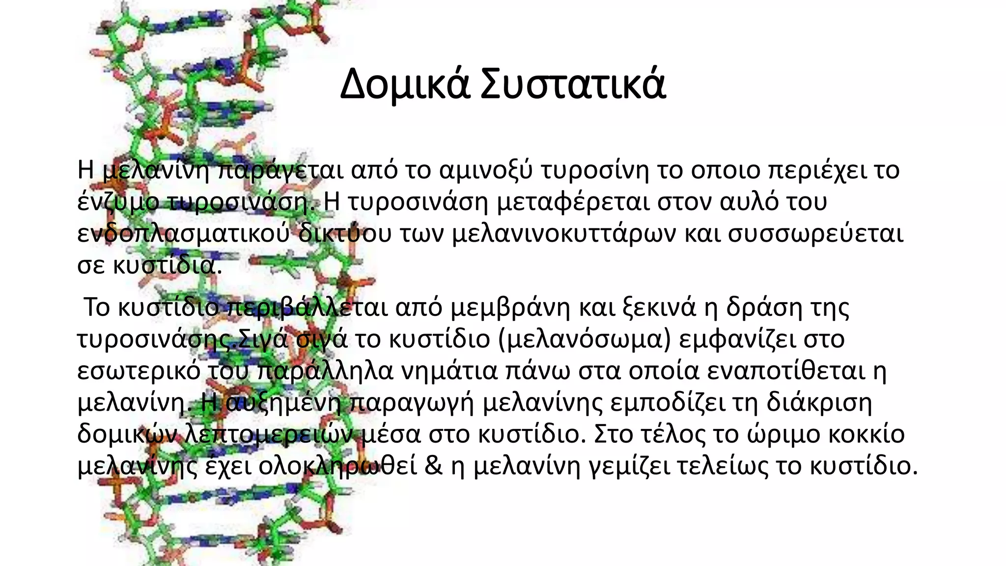 Μελανίνη | PPTX