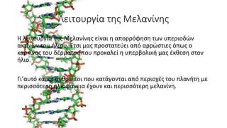 Μελανίνη | PPTX