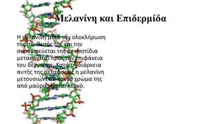 Μελανίνη | PPTX