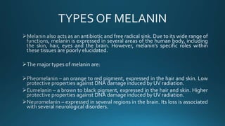 Melanin | PPTX