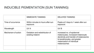 Melanin presentation(the pigment which is responsible for color).pptx