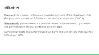 Melanin presentation(the pigment which is responsible for color).pptx ...