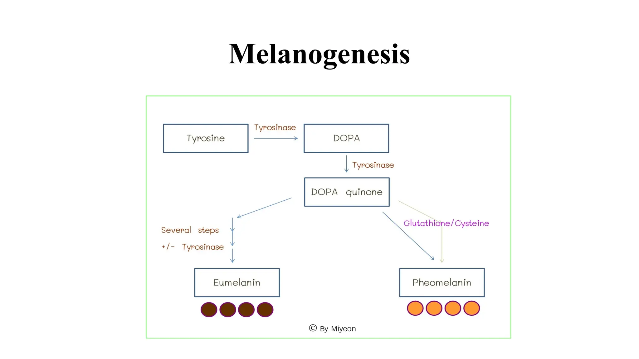 Melanin in dermatology department .pptx