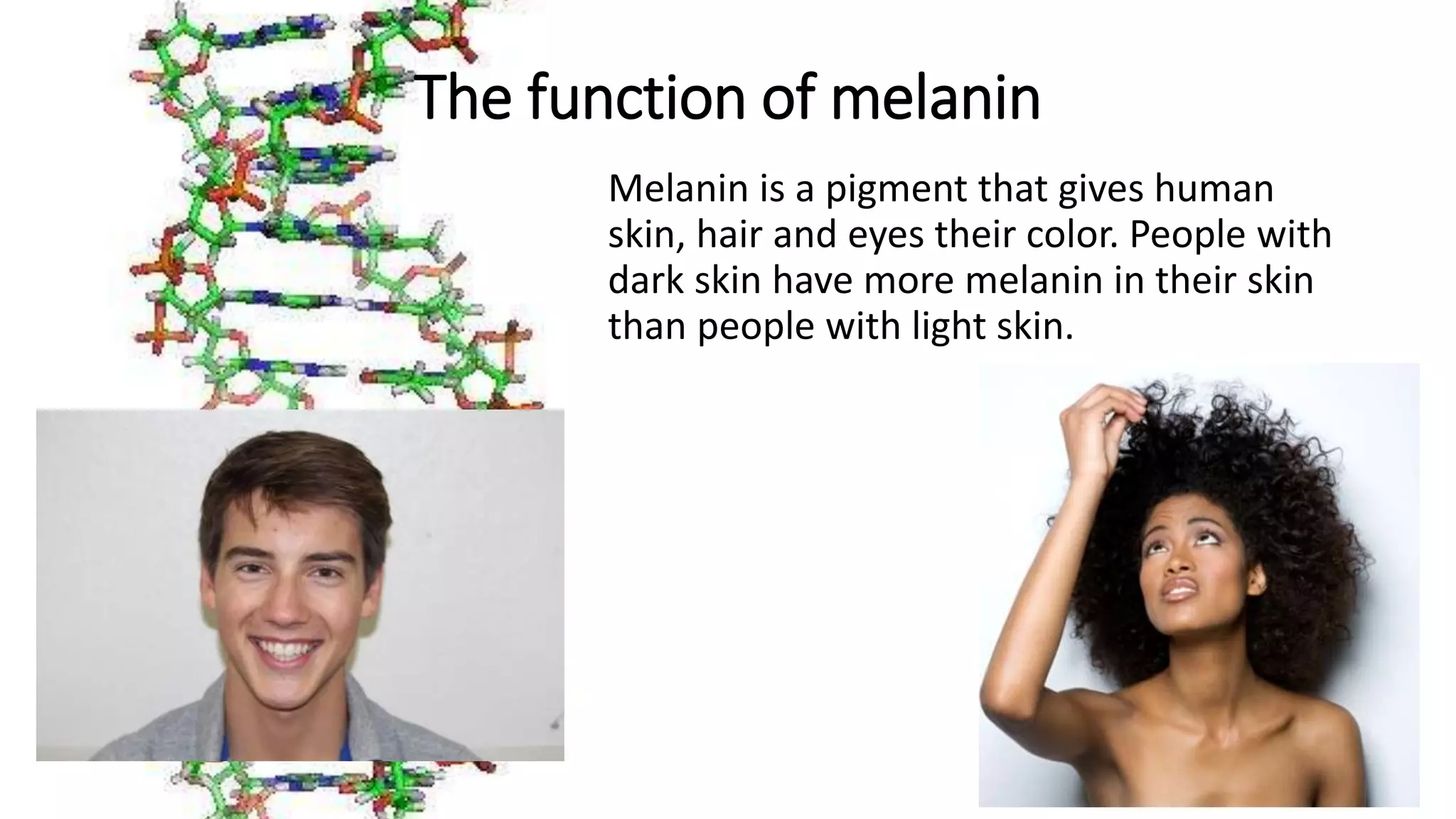 Melanin | PPTX